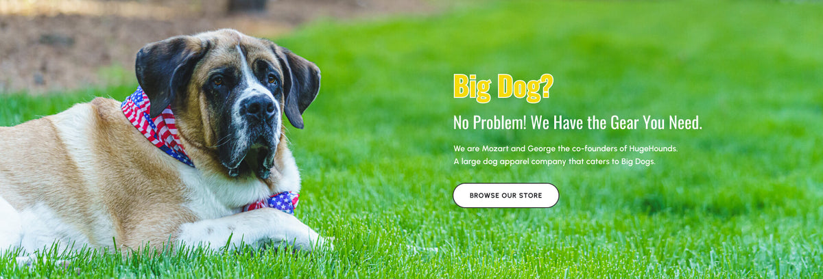 HugeHounds: Premium Gear for Extra Large Dog Breeds