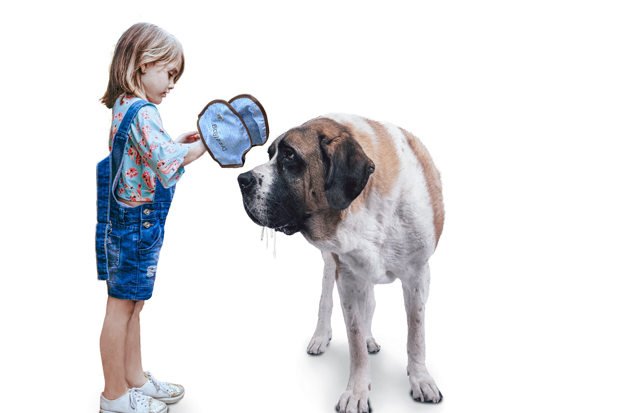 HugeHounds: Premium Gear for Extra Large Dog Breeds